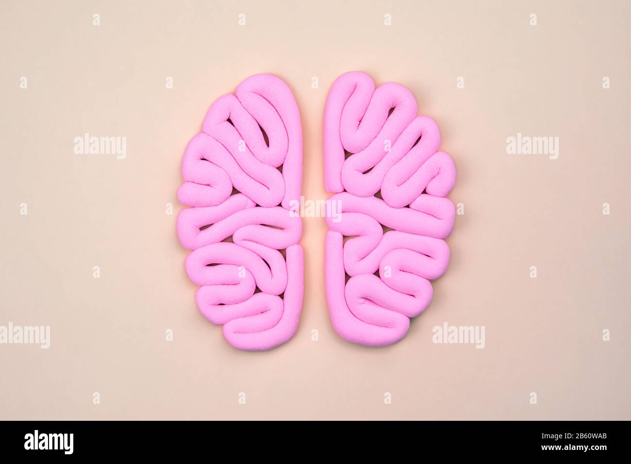 Human brain cerebral hemispheres hi-res stock photography and images ...