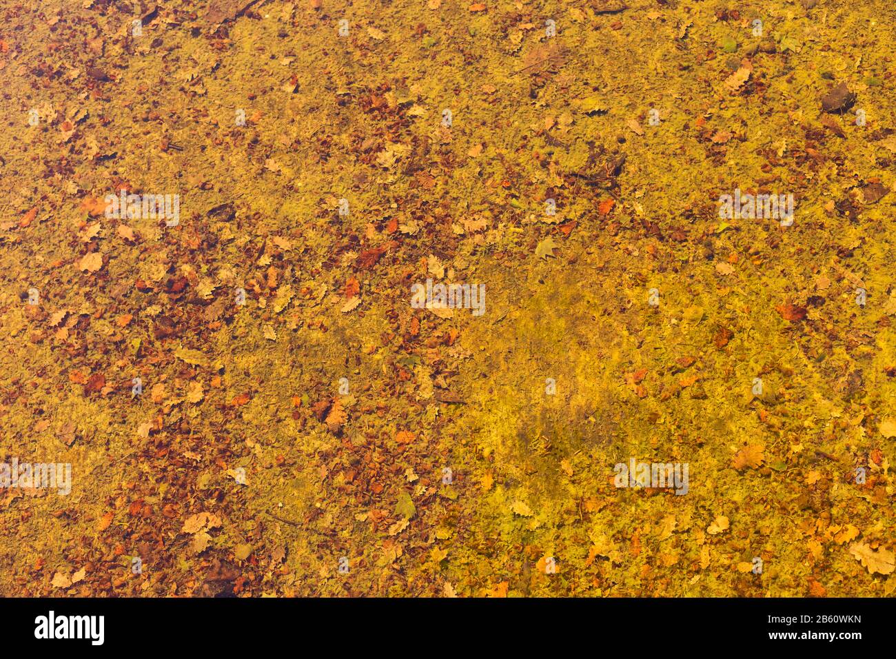 Surface shape hi-res stock photography and images - Alamy