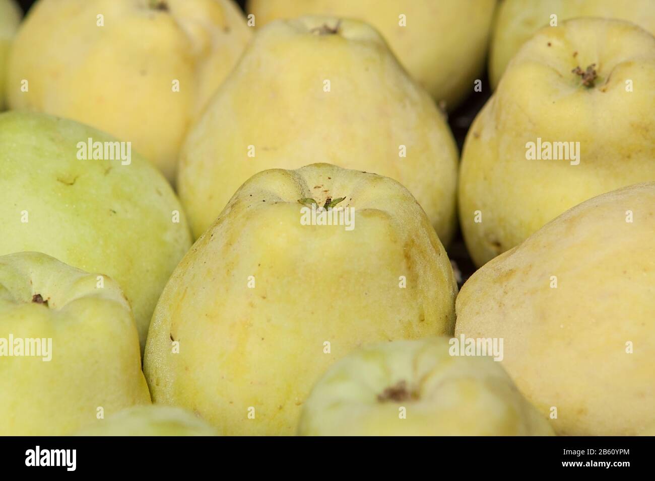Yellow apple close-up. In a series Stock Photo - Alamy
