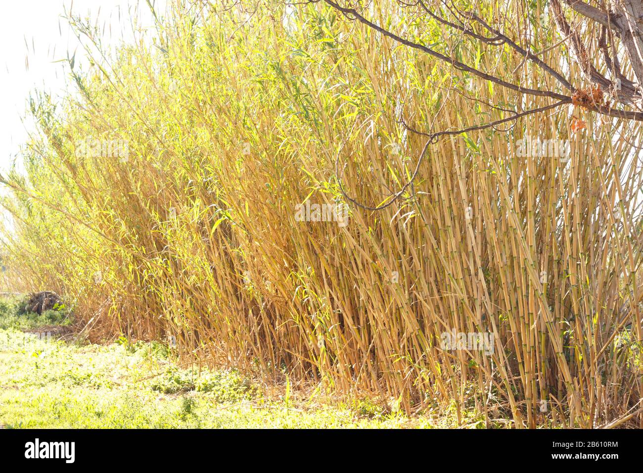Head of pond road hi-res stock photography and images - Alamy