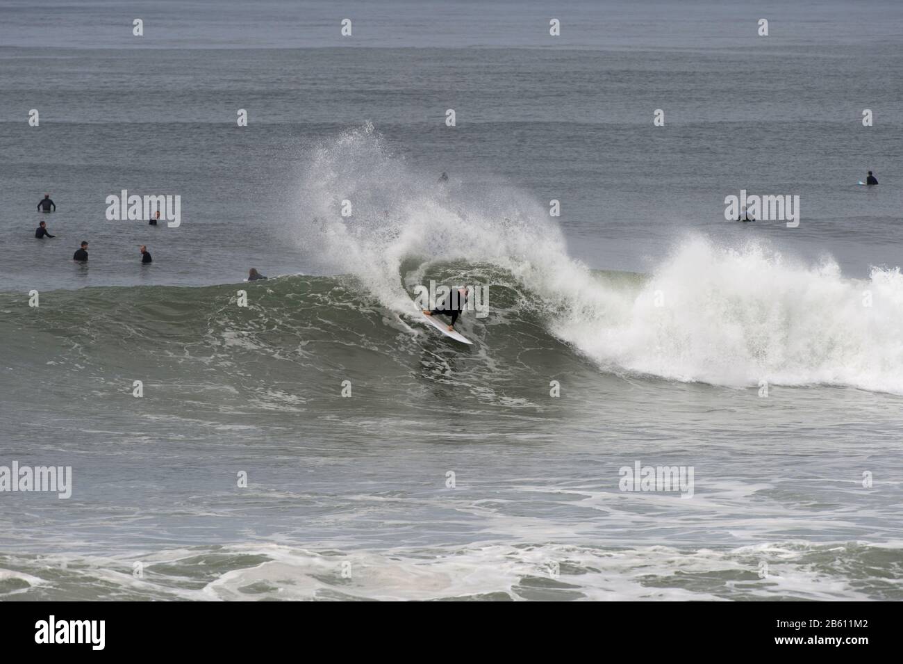 Surfing australia wetsuit hi-res stock photography and images - Alamy
