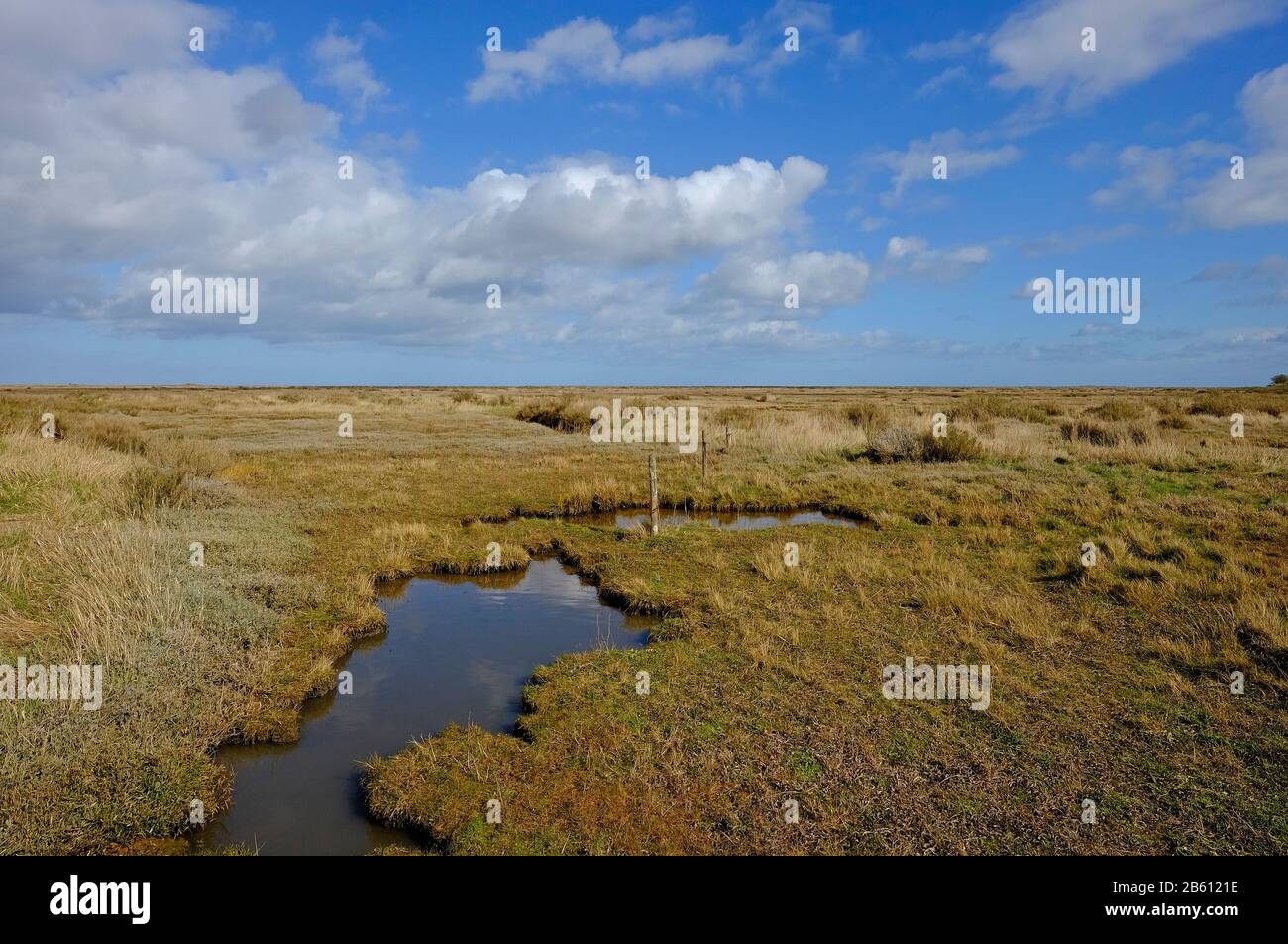 stiffkey salt marshes, north norfolk, england Stock Photo - Alamy
