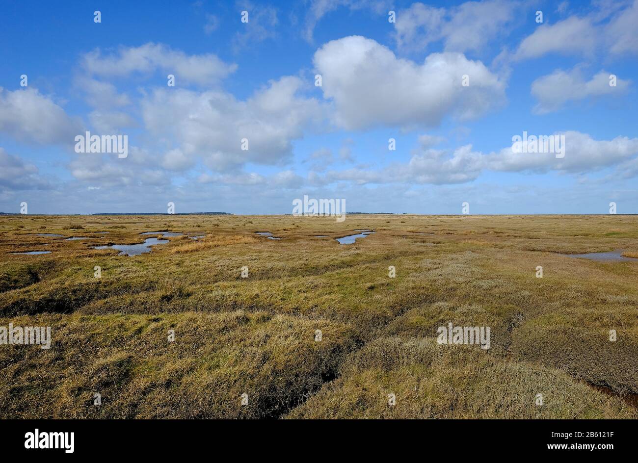 stiffkey salt marshes, north norfolk, england Stock Photo - Alamy