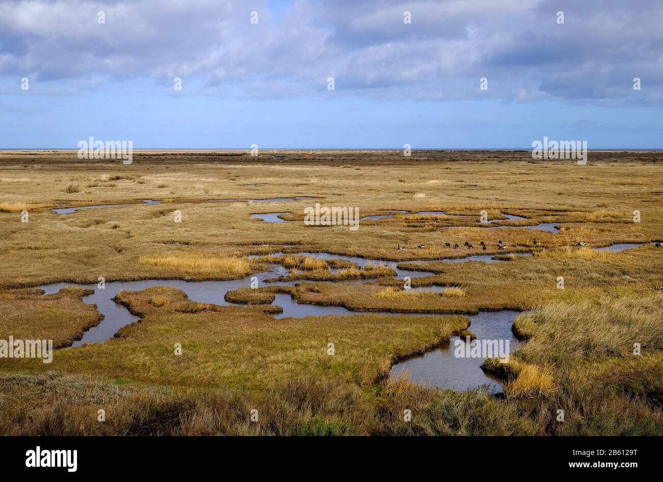 stiffkey salt marshes, north norfolk, england Stock Photo - Alamy
