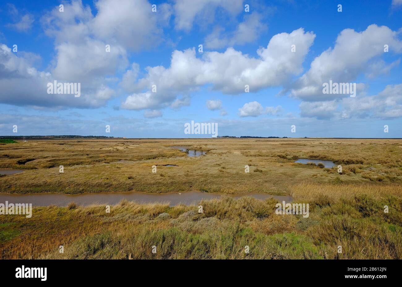 Wells salt marsh hi-res stock photography and images - Alamy