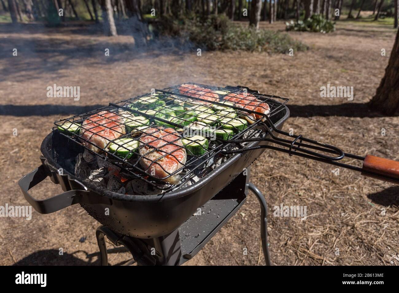 Picnic cooking outdoors with a grill. Of the tuna and vegetables Stock ...