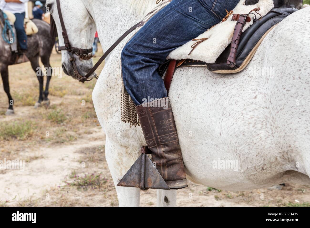 Details of the Spanish rider equipment. Epiphany horses. El Rocio Stock ...