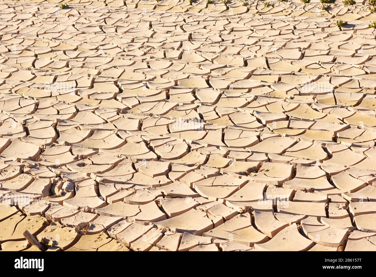 Lack of vegetation hi-res stock photography and images - Alamy