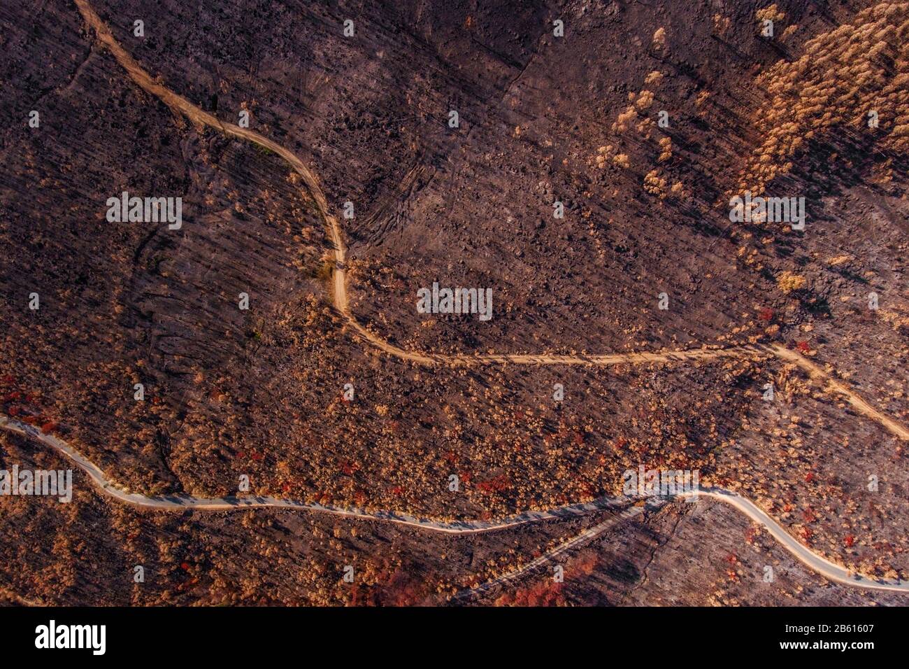 Scorched ground Monchique forests. View from the sky. Abstract Stock ...