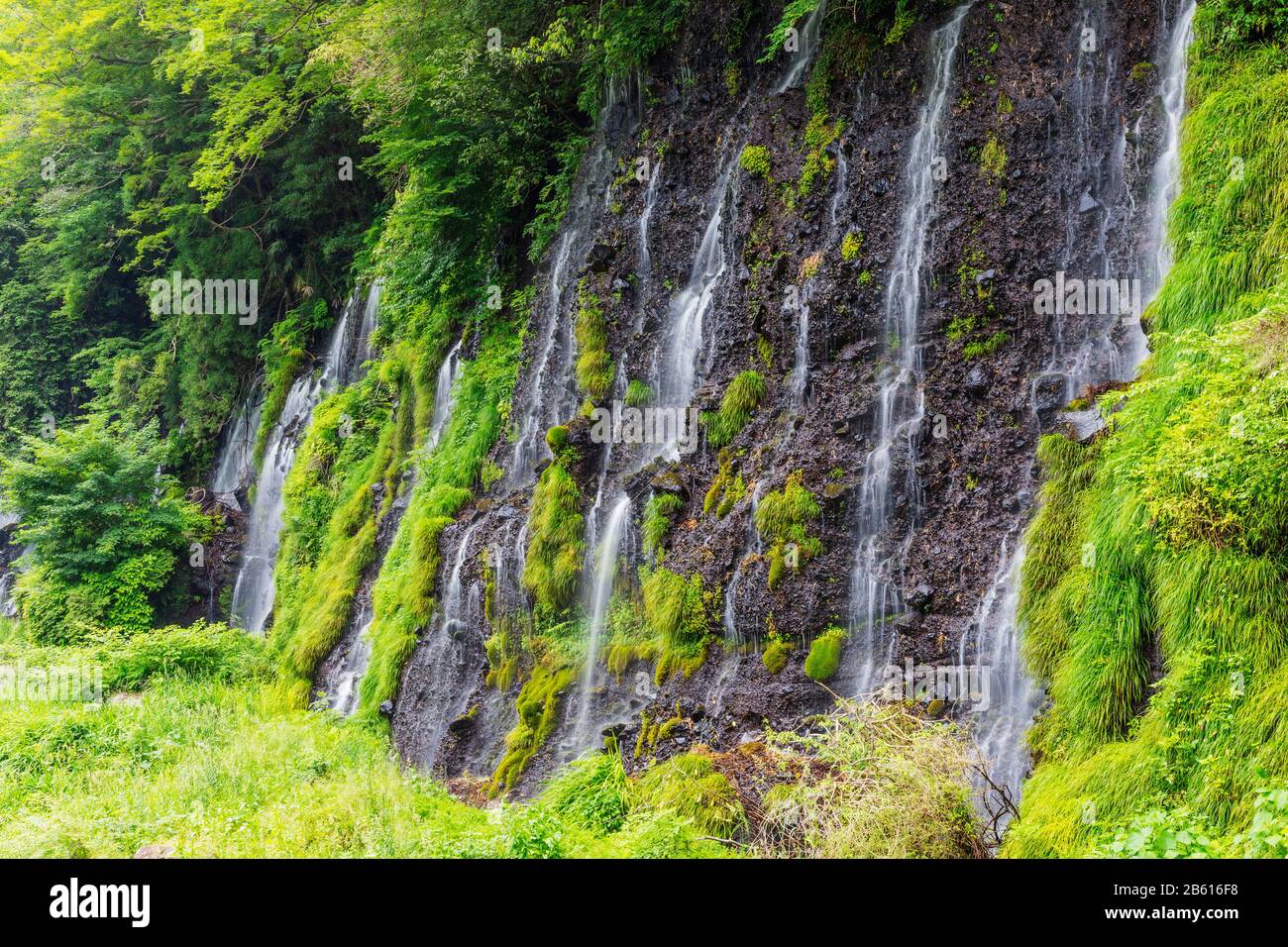 Japan, Honshu, Shizuoka Prefecture, Fuji-Hakone-Izu National Park ...