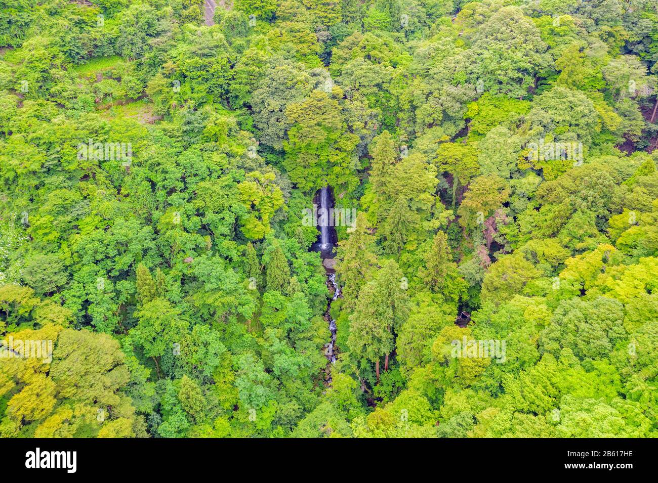 The Waterfall Of Yoro High Resolution Stock Photography and Images - Alamy
