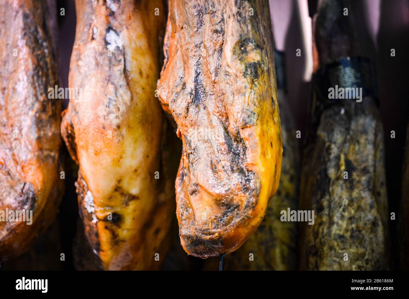 tasty mix of italian panini & spanish tapas within the local market ...