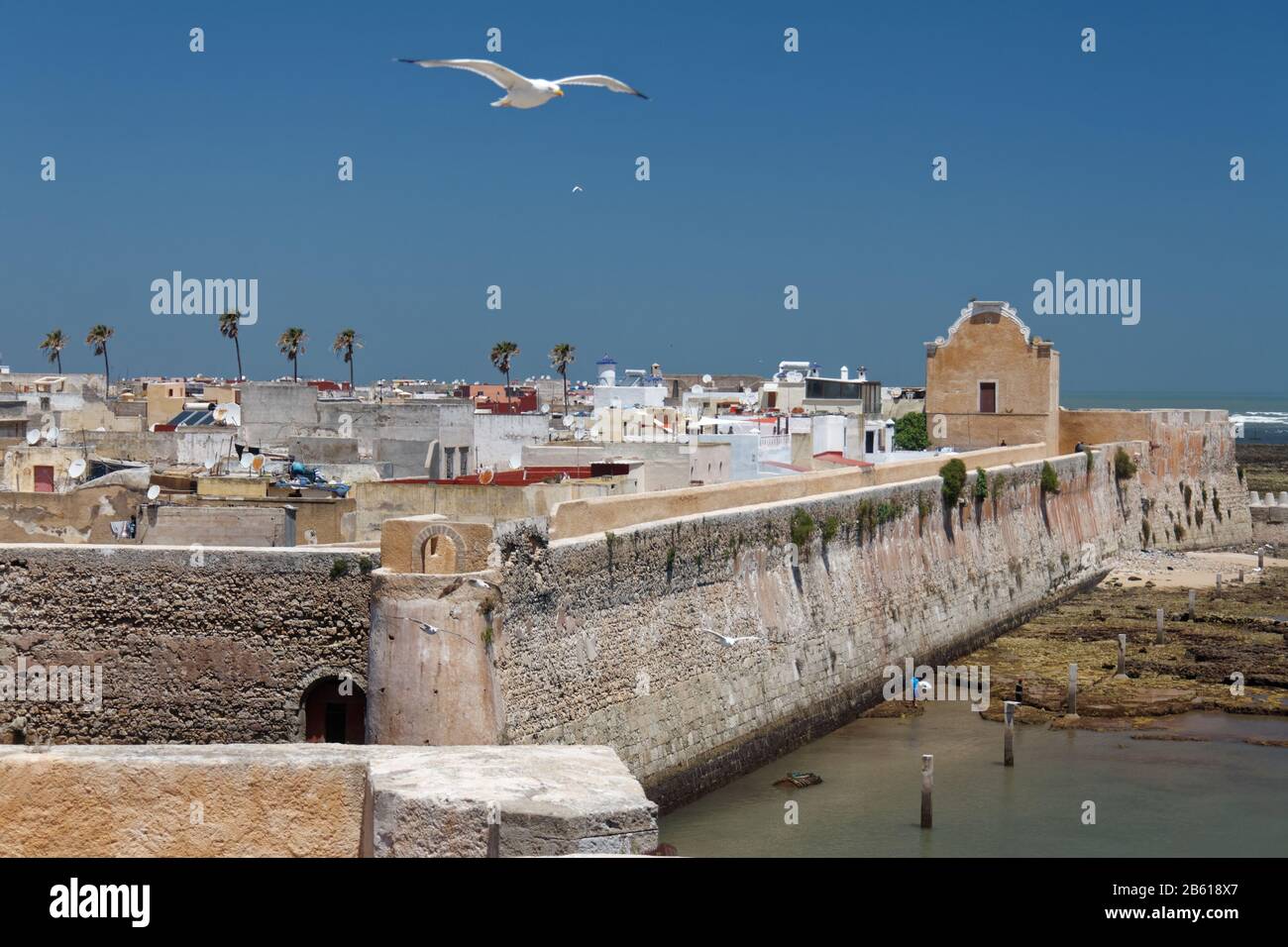 Al jedida hi-res stock photography and images - Alamy