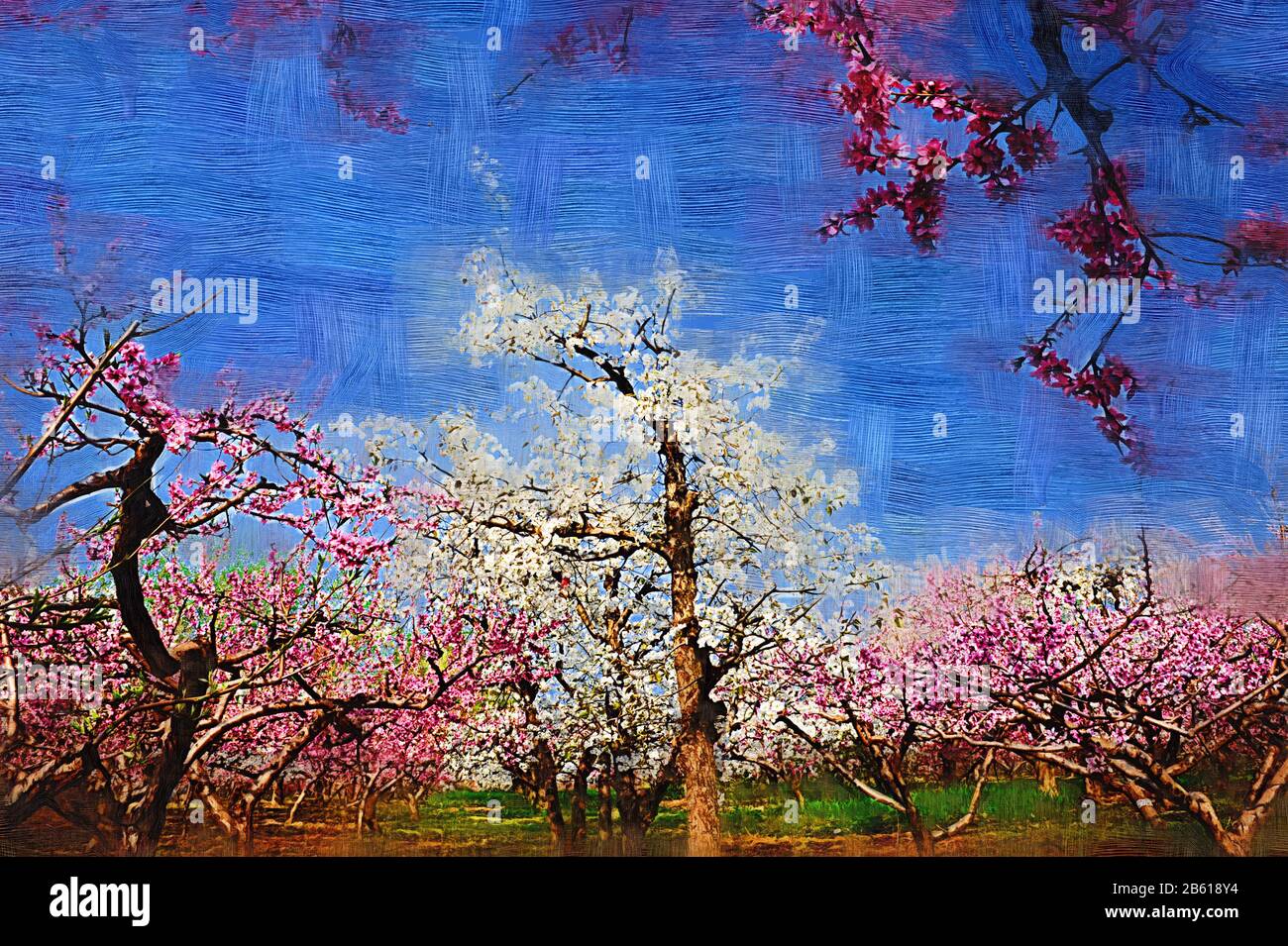 Spring pastoral scenery, oil painting photos Stock Photo - Alamy