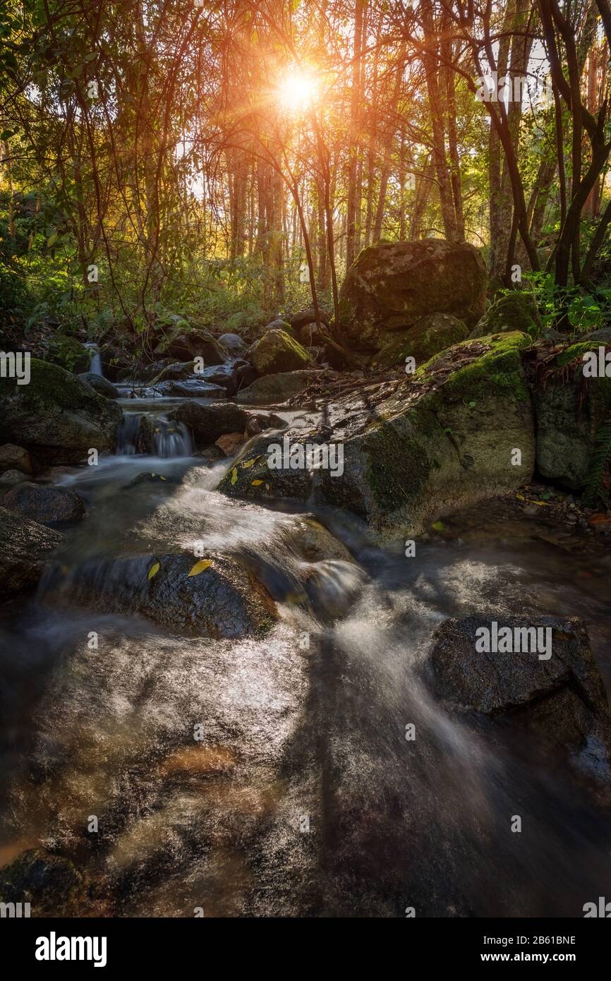 Mountain stream in autumn in Monchique. Rays of sun through the trees Stock Photo - Alamy