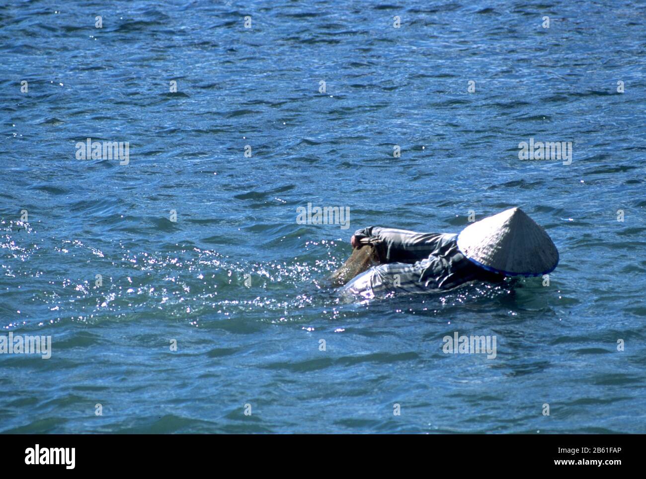 Woman gathering river weed as food from the Nam Song river in Vang Vien ...