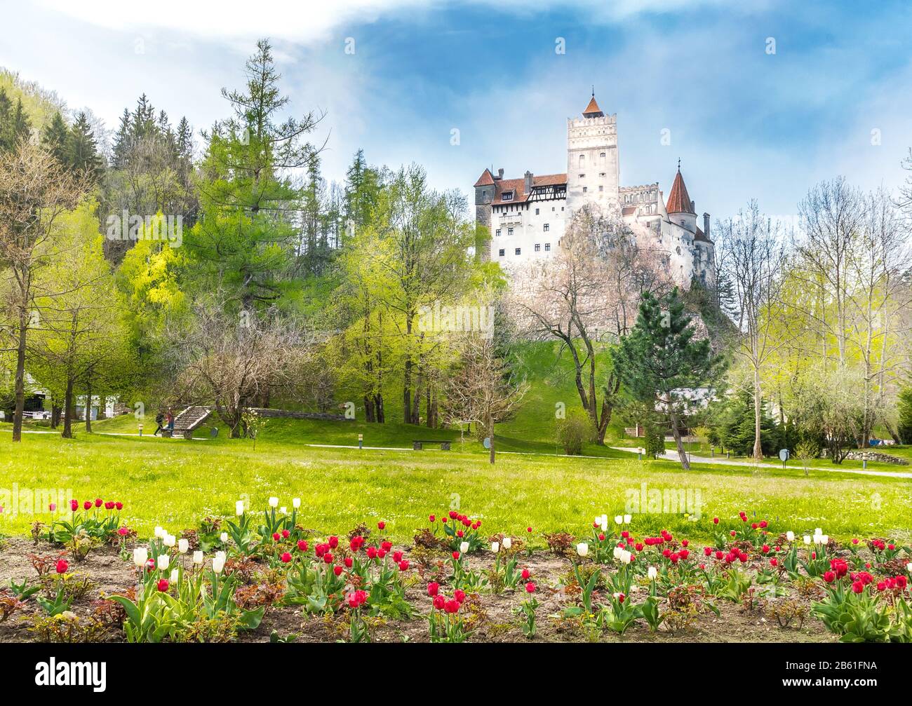 Landscape with medieval Bran castle, Brasov landmark, Transylvania ...