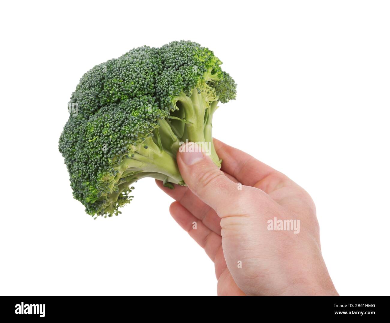 Hand holding broccoli Cut Out Stock Images & Pictures - Alamy