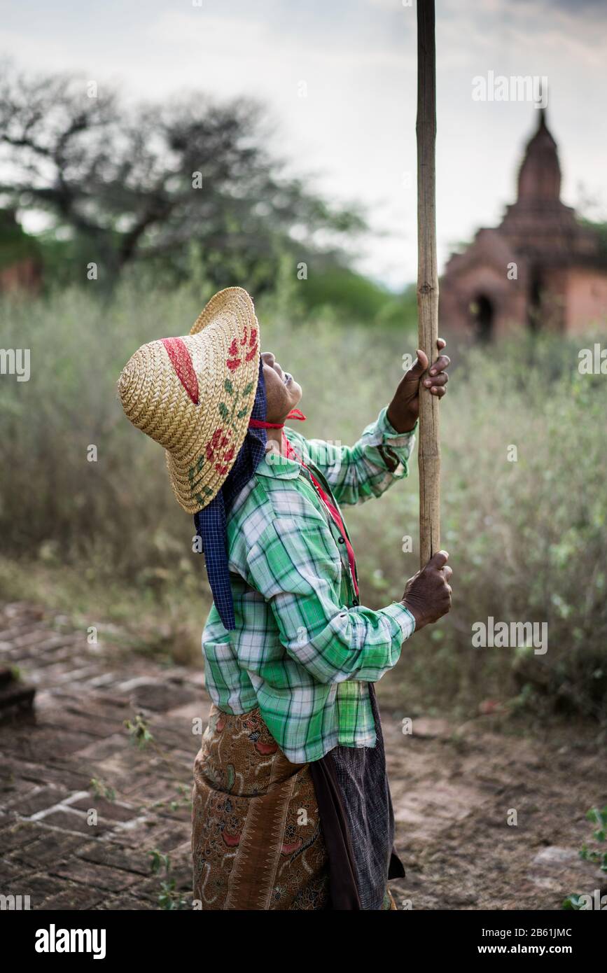 Myanmar ecology hi-res stock photography and images - Alamy