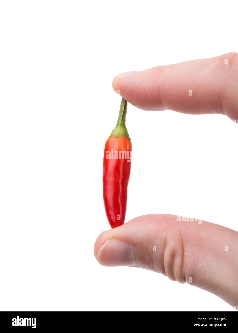 Spicy pepper in his fingers for the show. On a white background Stock ...