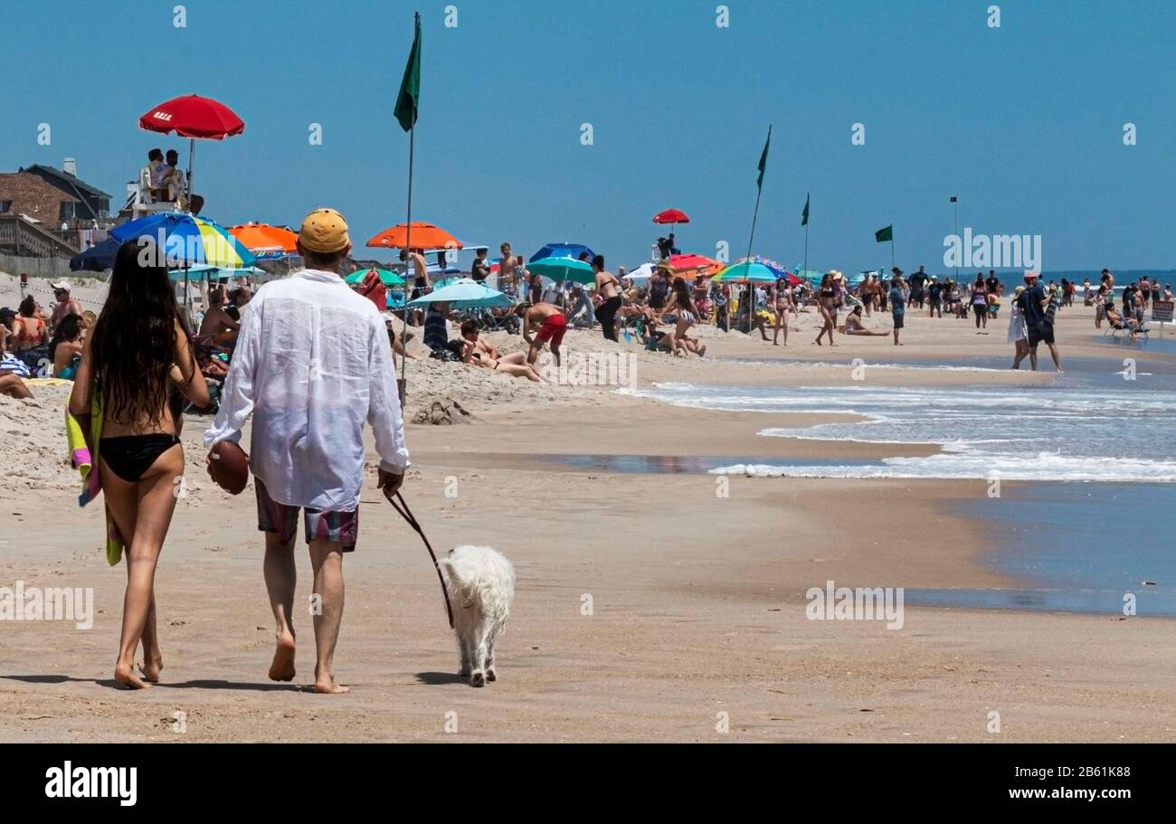 Can You Bring Dogs To Fire Island