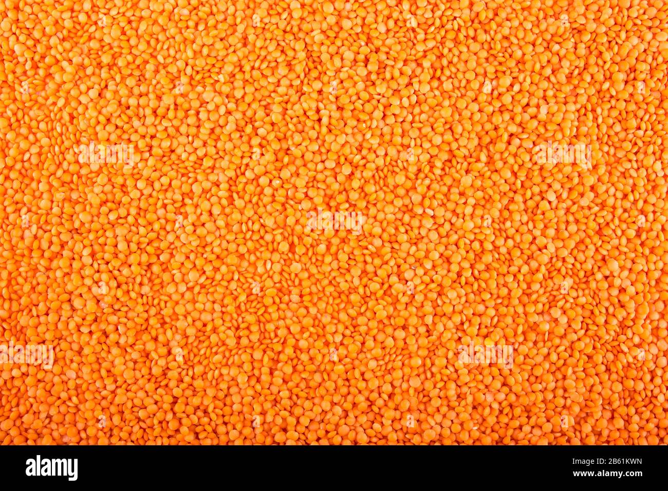Background filled with red lentils. Structural background created by a ...