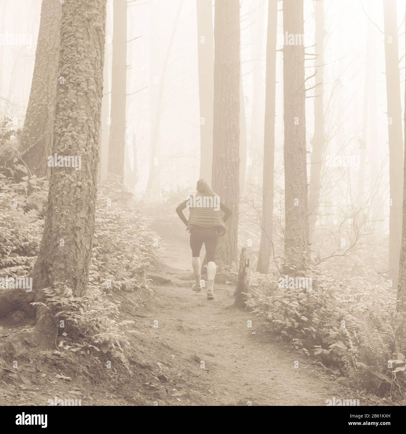 Healthy lady trekking foggy Poo Poo Point trail in Washington, USA ...