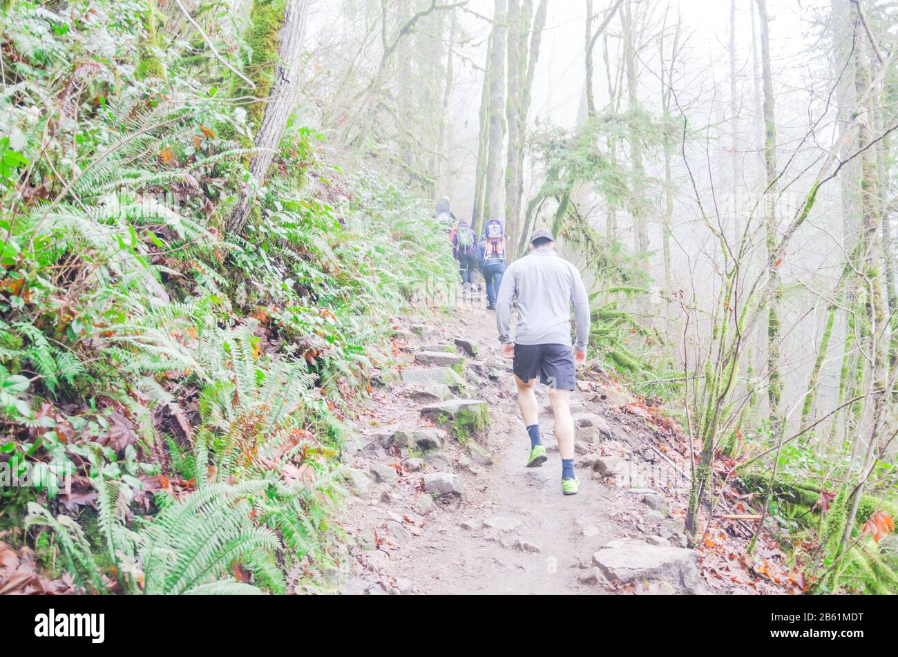 Back view hiker in summer dress climb up misty Poo Poo Point trail in ...