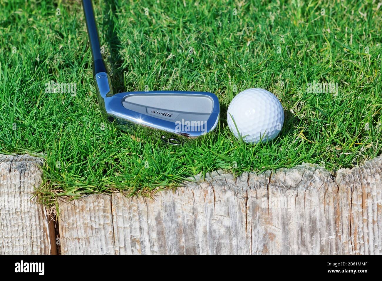 Inverted color tree hi-res stock photography and images - Alamy