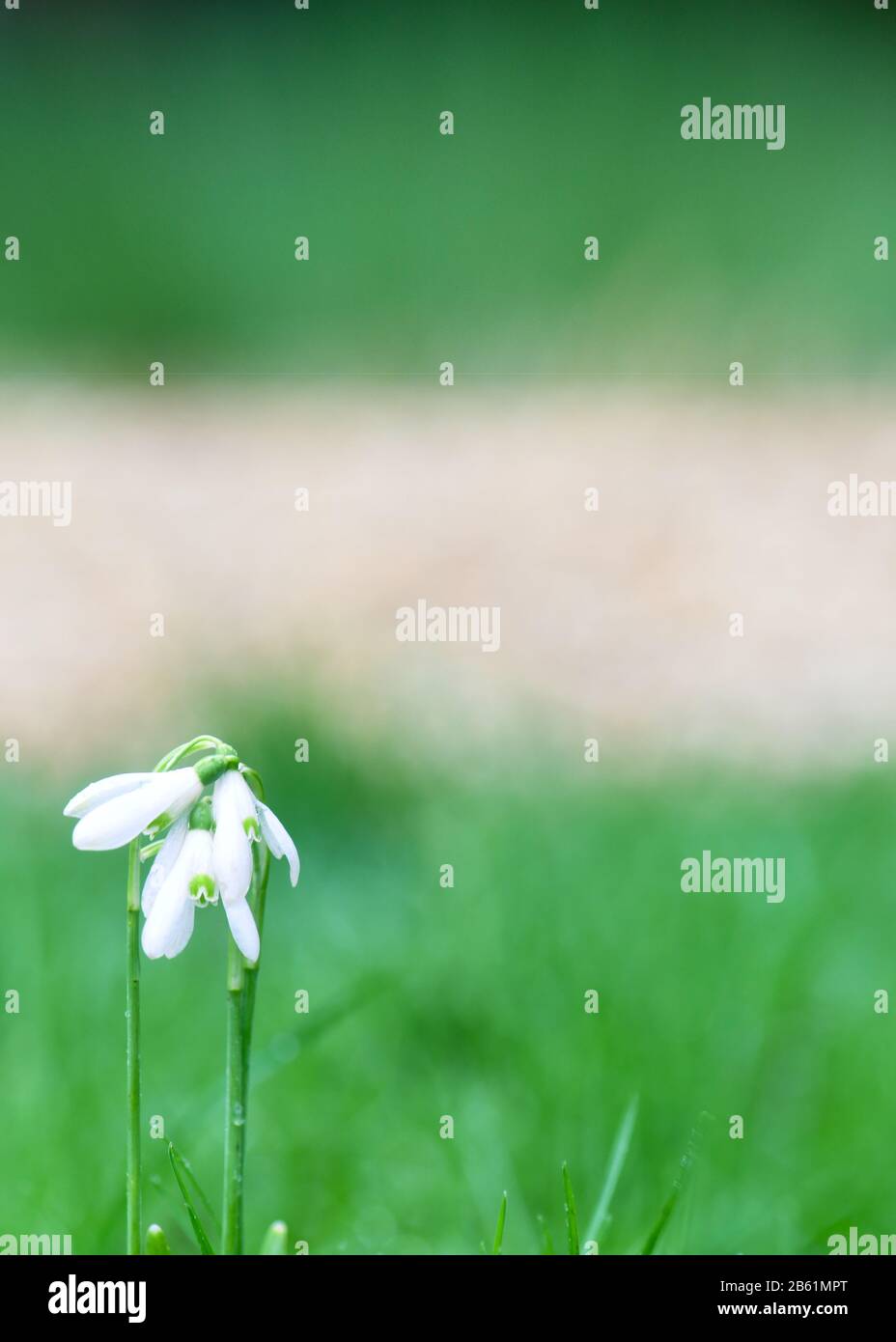 Poster image hi-res stock photography and images - Alamy