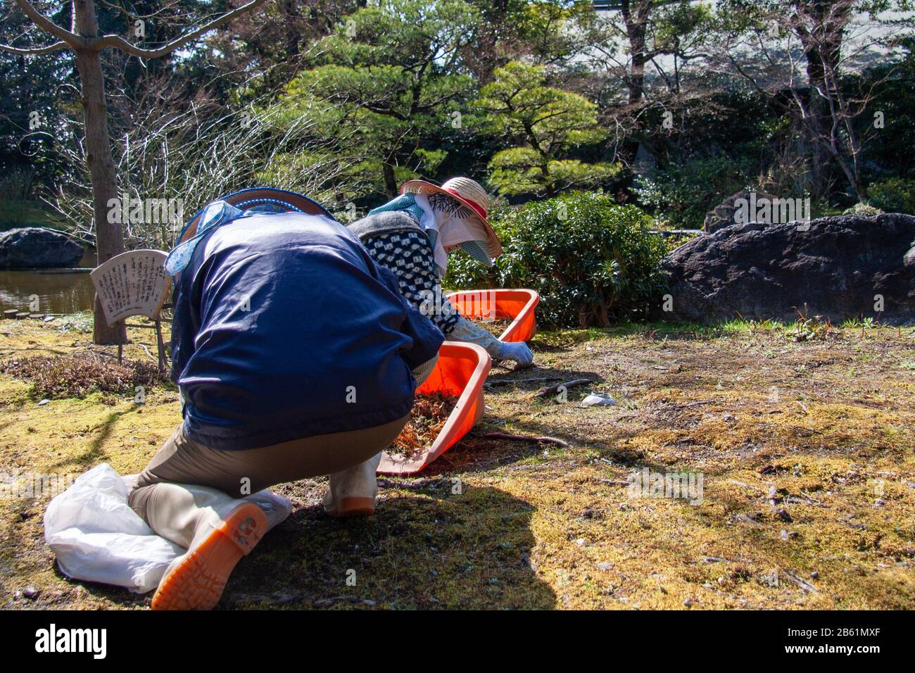 Hard working japanese hi-res stock photography and images - Alamy