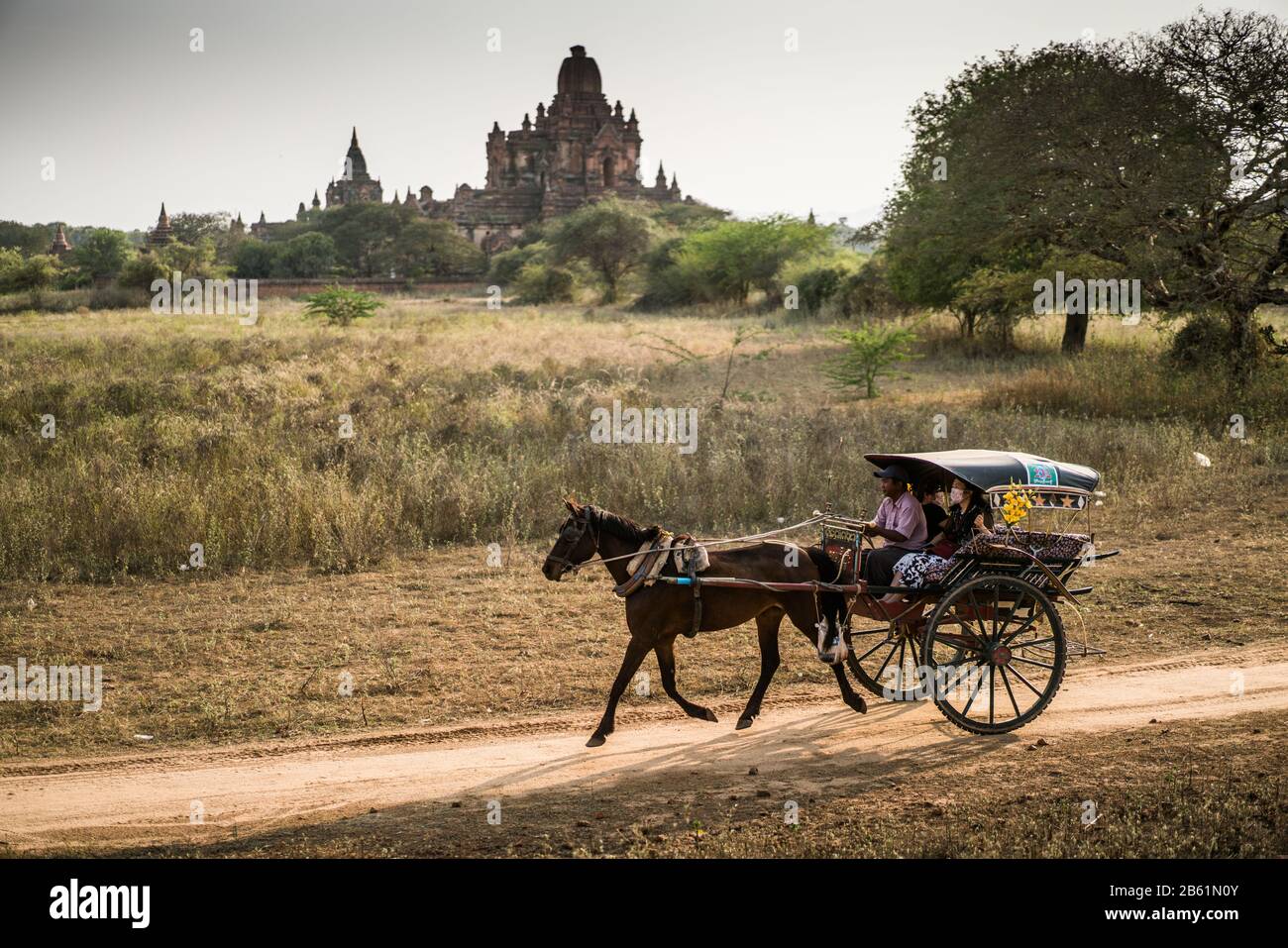 Burmese horse cart hi-res stock photography and images - Alamy