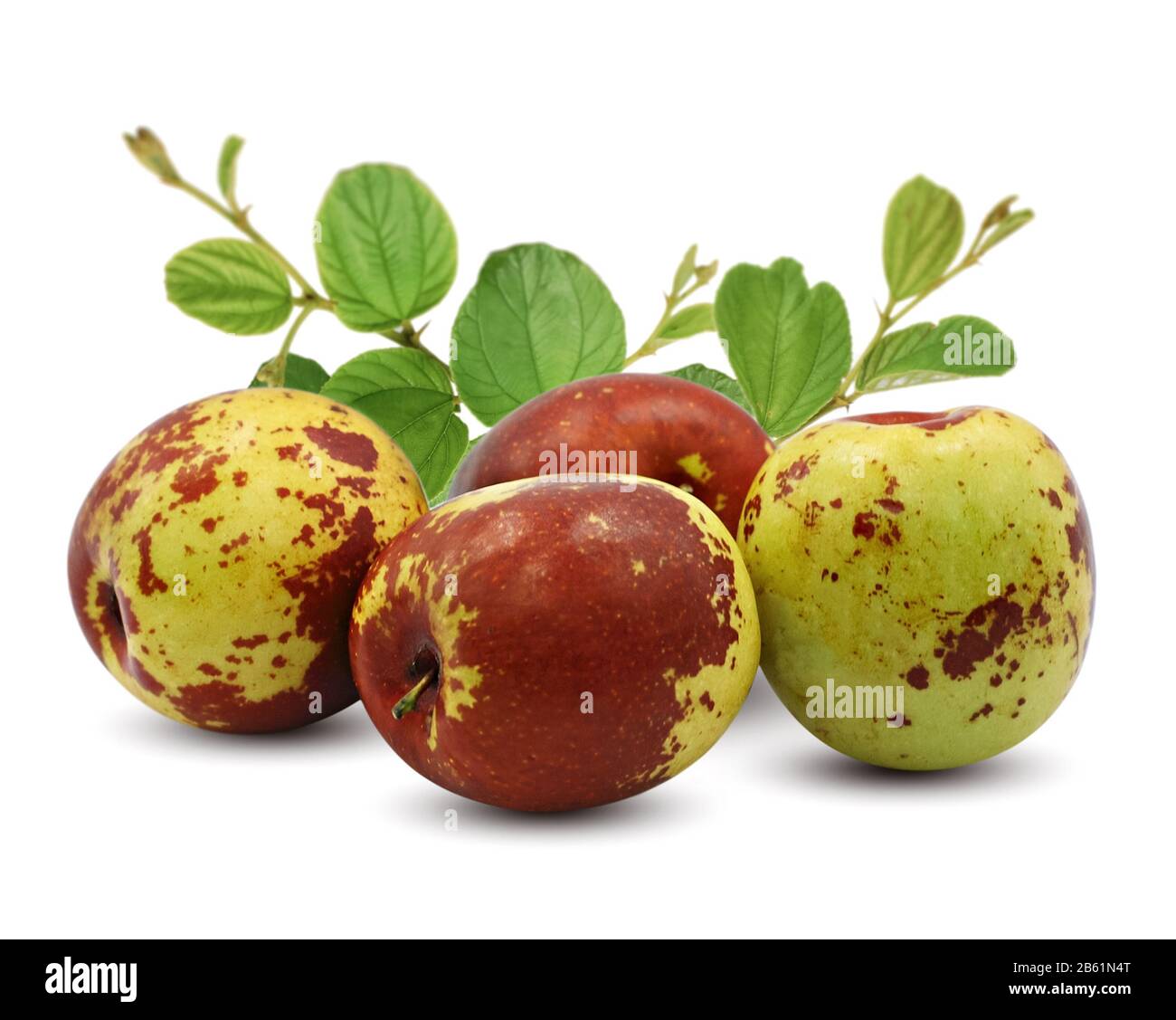 Fresh Jujube fruits isolated on white background Stock Photo - Alamy