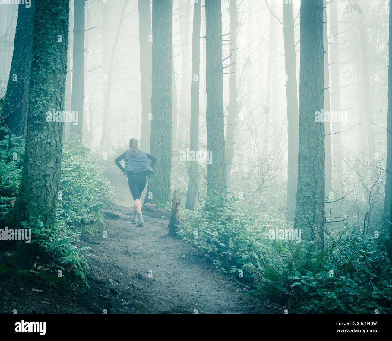 Healthy lady trekking foggy Poo Poo Point trail in Washington, USA ...