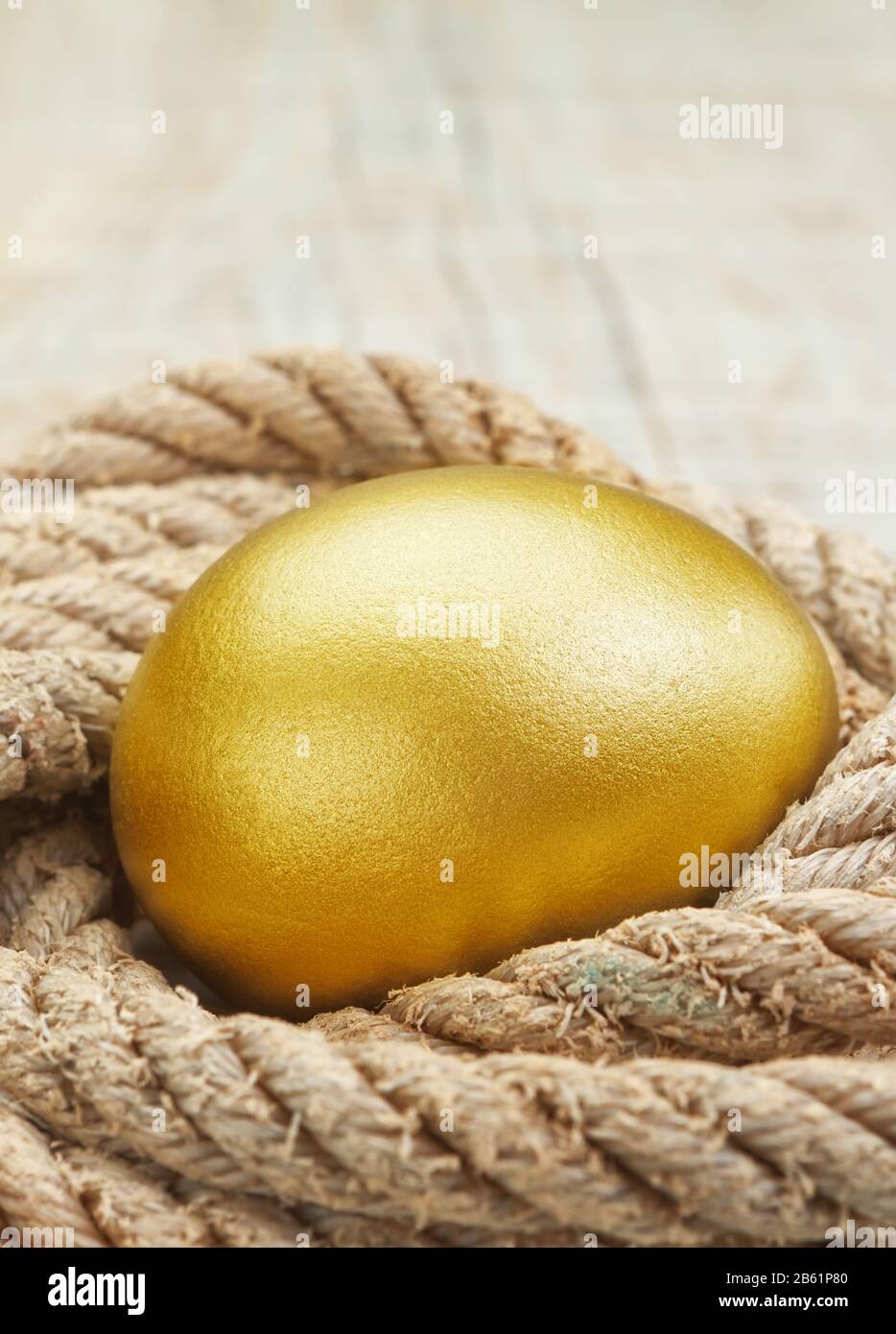 Easter golden egg against the ropes Stock Photo - Alamy