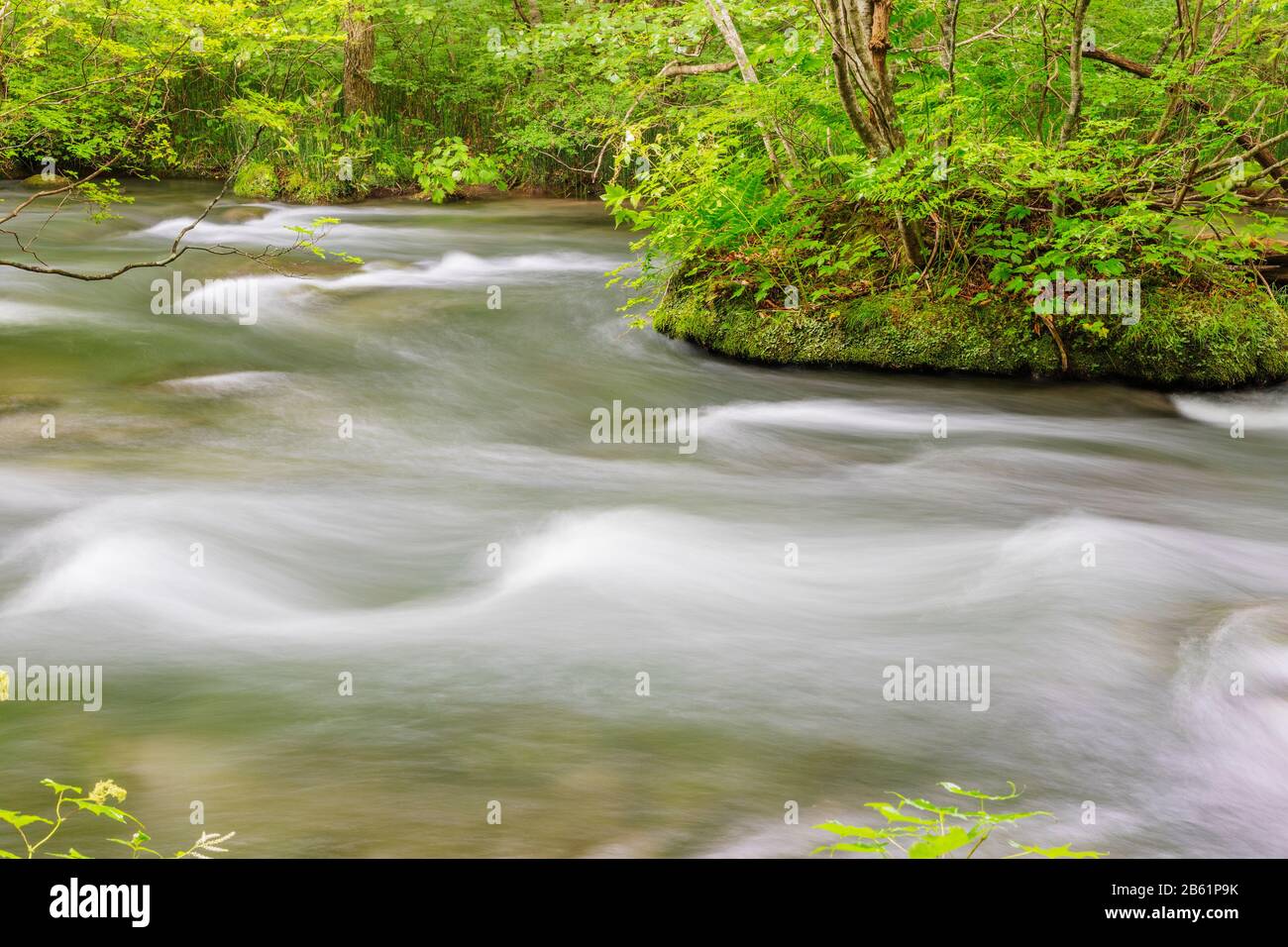 Japan, Honshu, Tohoku, Aomori prefecture, Oirase stream at Oirase gorge ...
