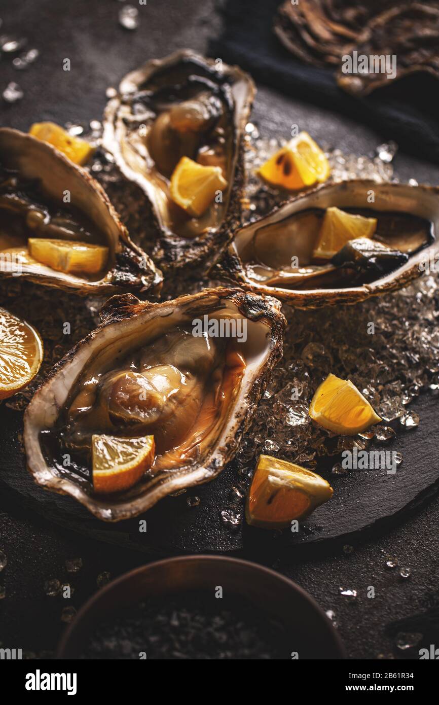 Crushed Oyster Shells High Resolution Stock Photography and Images - Alamy