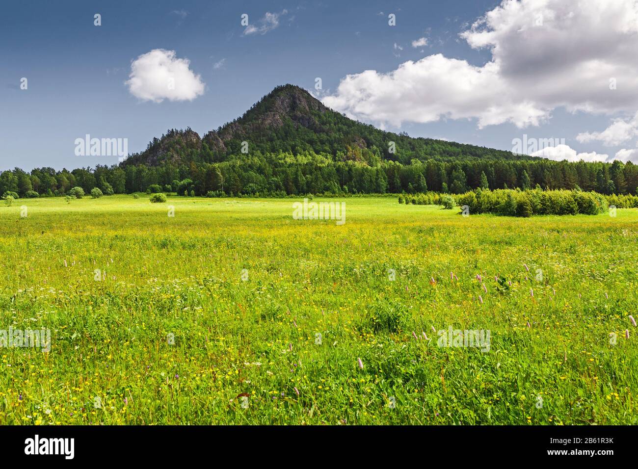 Idyllic summer scenic landscape with fresh green grass Stock Photo - Alamy Idyllic summer scenic landscape with fresh green grass Stock Photo - Alamy