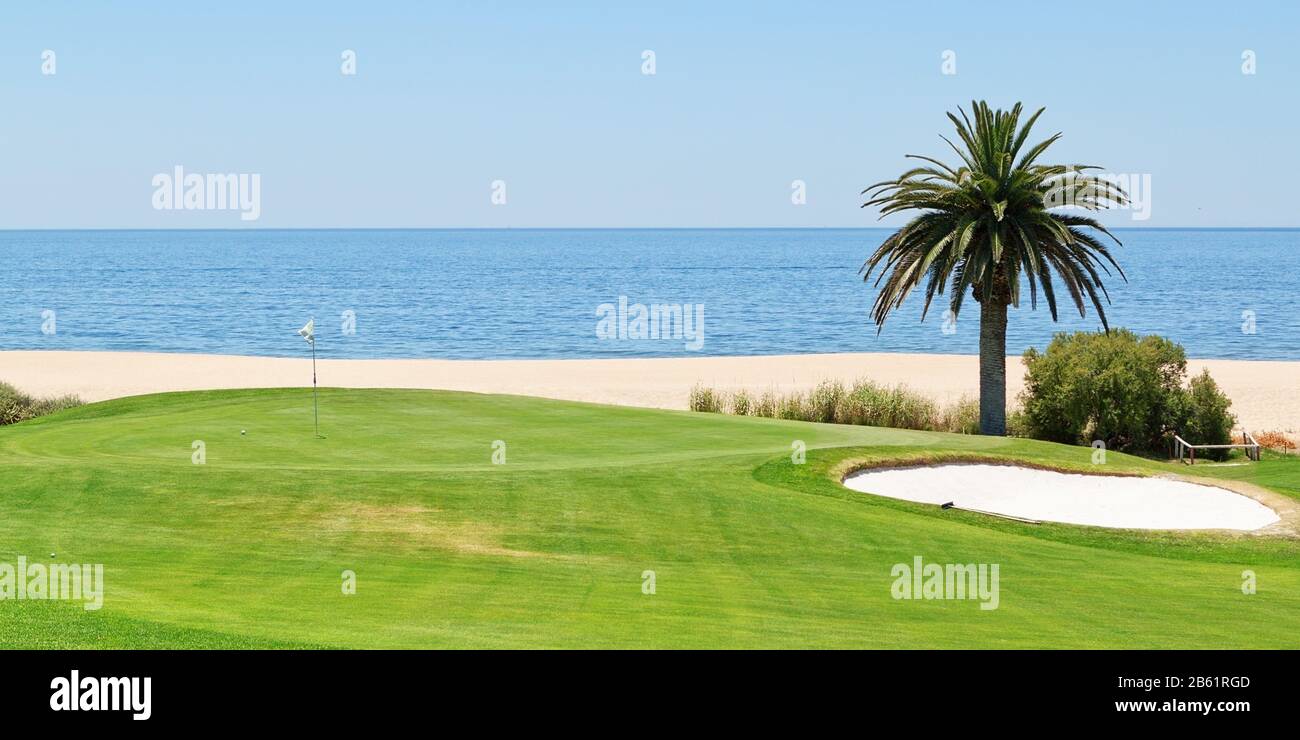 Panoramic views of the golf course to the sea and palm trees. Portugal ...