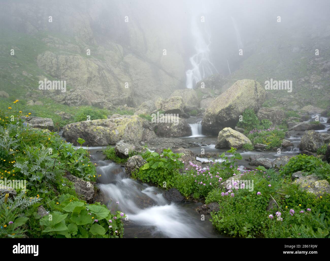 Summer in mountains. Stream and waterfall (background) covered with fog ...