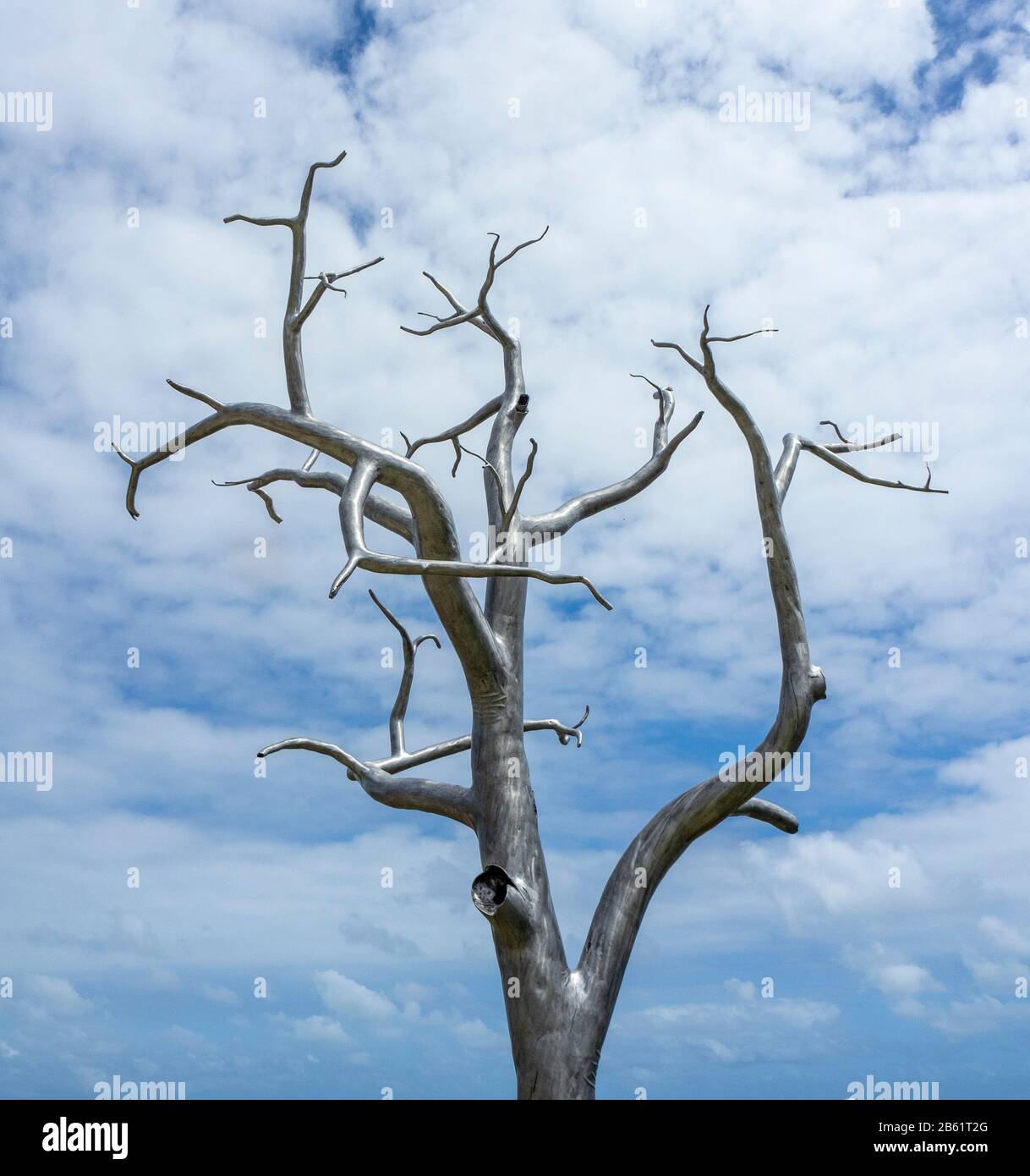 2030 aluminium tree by Sam Hopkins sculptor artist at Sculpture by the ...