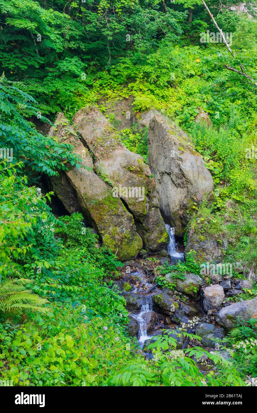 Japan, Honshu, Tohoku, Akita prefecture, rock split by a waterfall ...