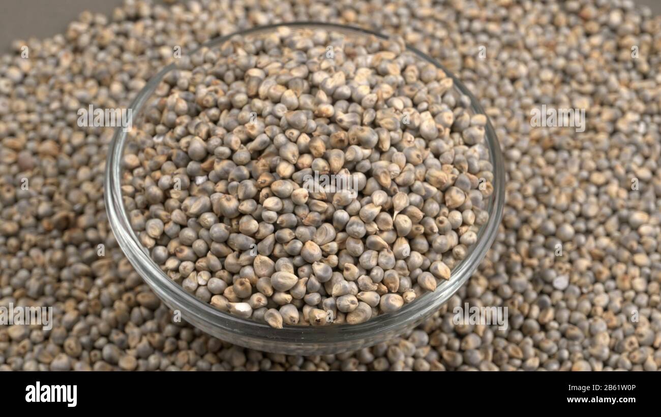 Various cereals, seeds, wheat, pearl millet and jowari on beautiful ...