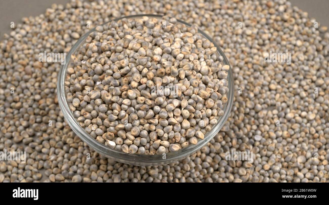 Various cereals, seeds, wheat, pearl millet and jowari on beautiful ...