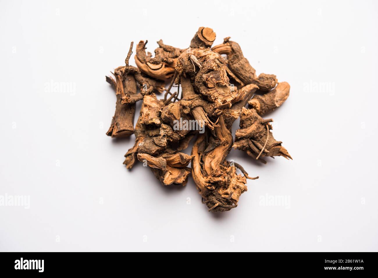 Ayurvedic herb chitrak or Plumbago zeylanica roots, isolated over white ...