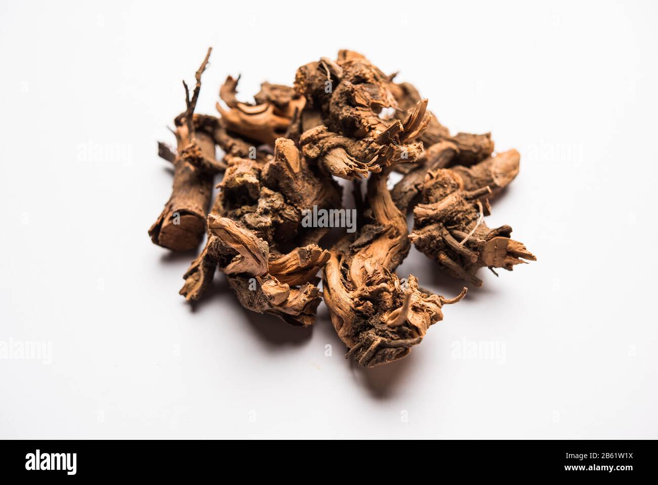 Ayurvedic herb chitrak or Plumbago zeylanica roots, isolated over white ...