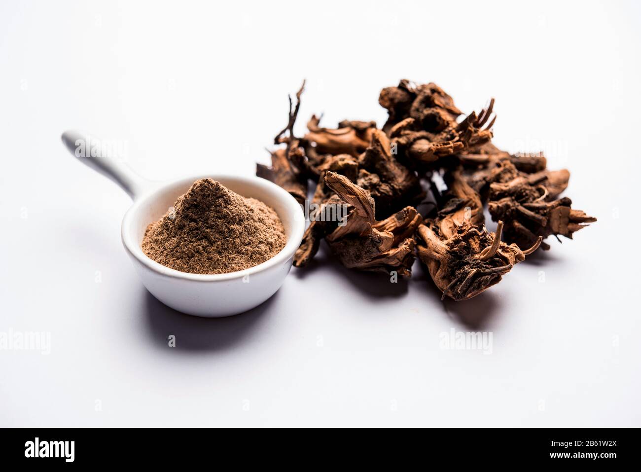 Ayurvedic Chitrak or Sheetraj roots also known as Plumbago zeylanica ...