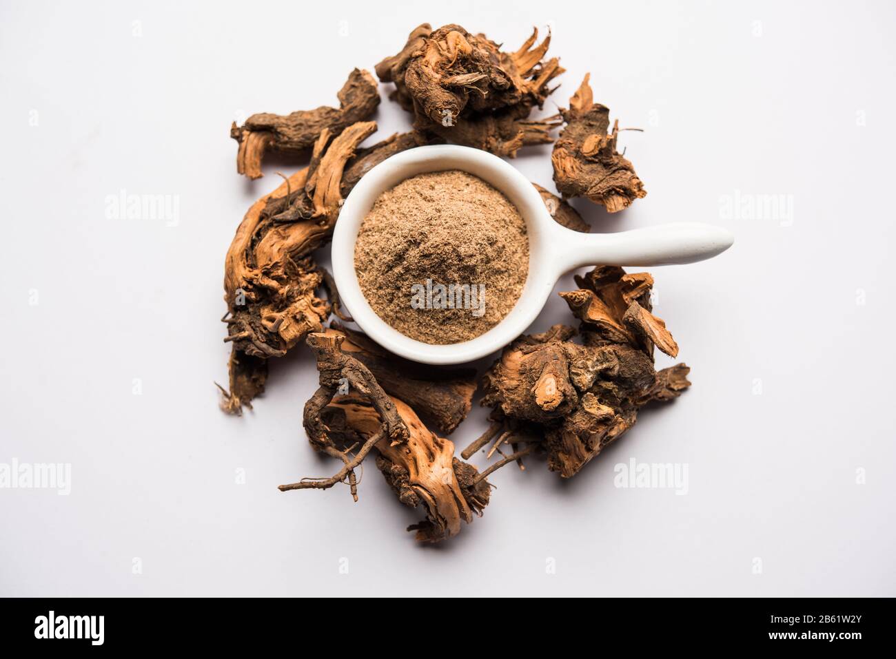 Ayurvedic Chitrak or Sheetraj roots also known as Plumbago zeylanica ...