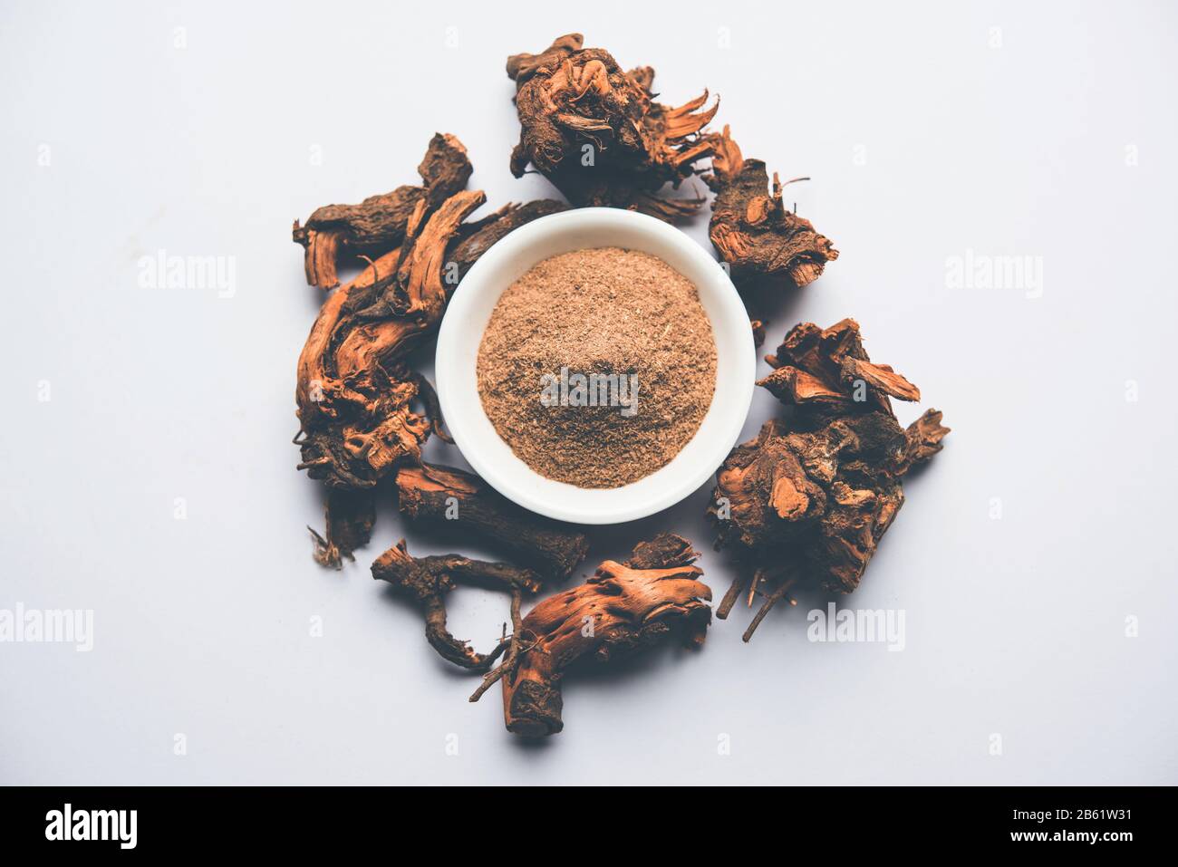 Ayurvedic Chitrak or Sheetraj roots also known as Plumbago zeylanica ...