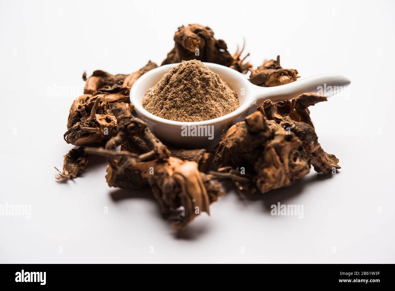 Ayurvedic Chitrak or Sheetraj roots also known as Plumbago zeylanica ...